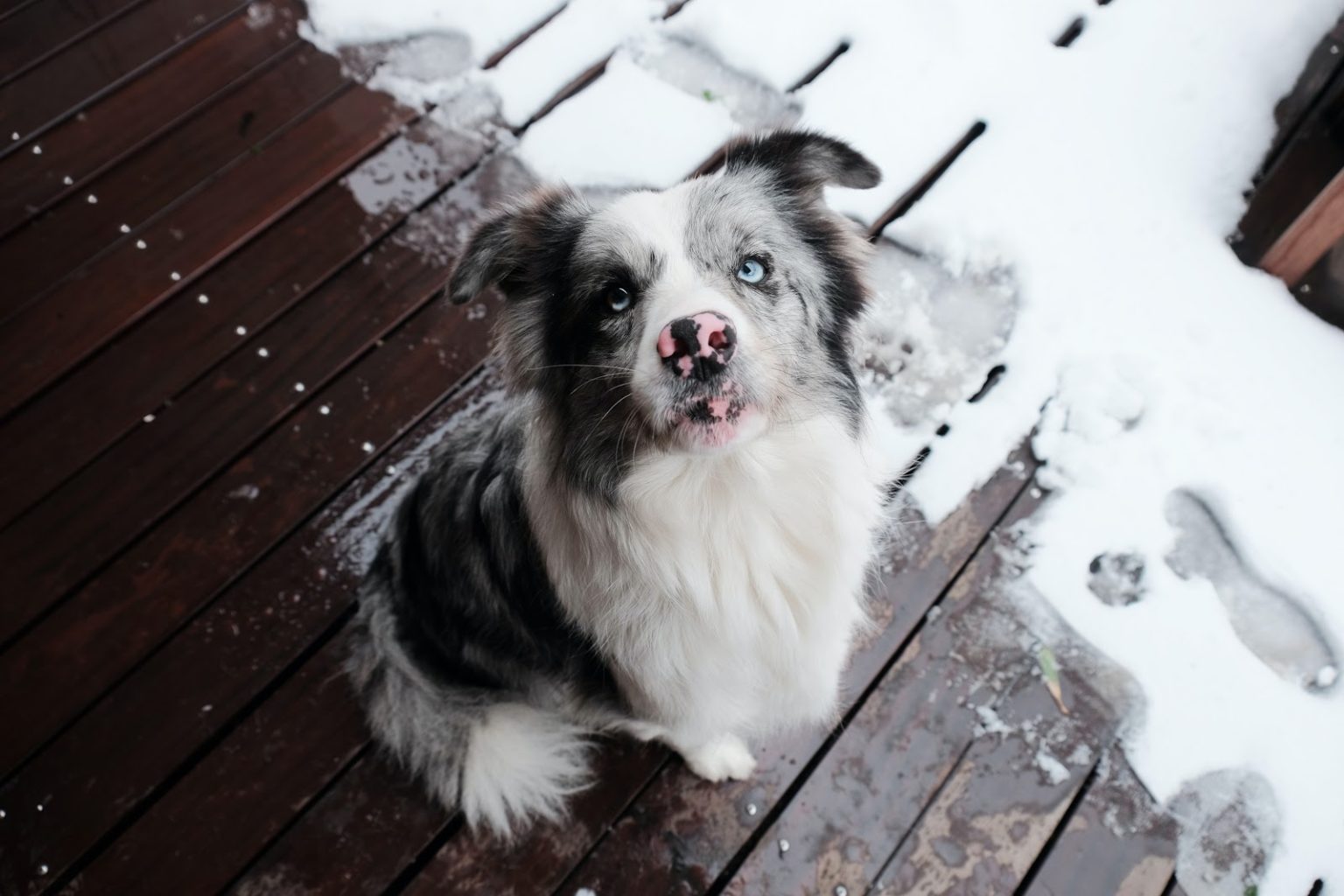 Best Ice Melter For Decks This Winter In Boston - Safe Paw
