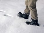 Snow Bunny Slang & Safe Ice Melt Storage: Smart Winter Prep