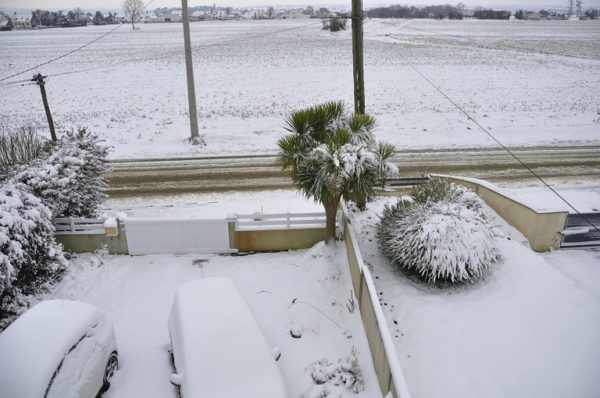 Winter Safety Tips & Pet-Friendly Ice Melt Advice | Safe Paw Blog