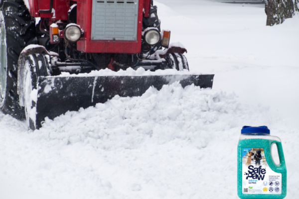 Type Of Ice Melt And What To Choose -Safe Paw
