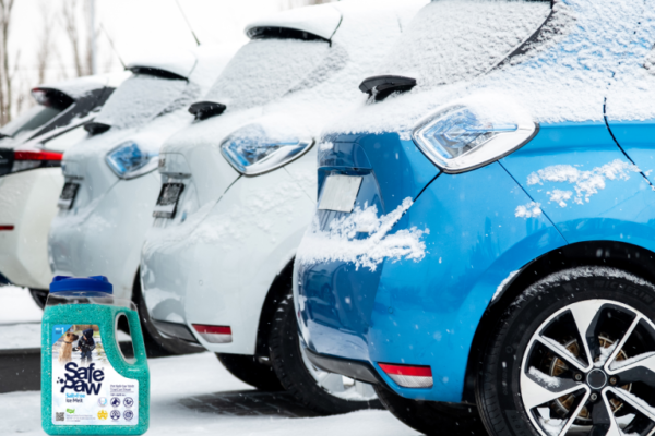 How To Drive In The Snow: Life-Saving Tips