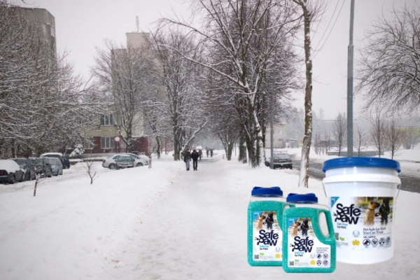 Learn How To Stay Safe And Prepared During A Blizzard