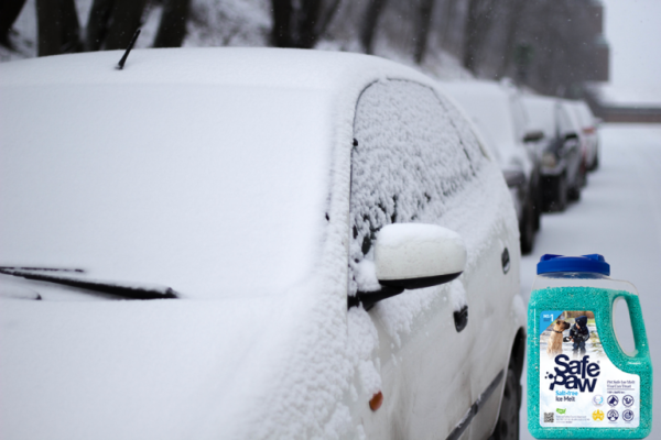 Leveraging Your Car's Defrost Button: What You Need To Know