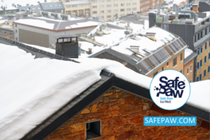 Understanding Snow and Its Temperature Conditions | Winter Weather Guide