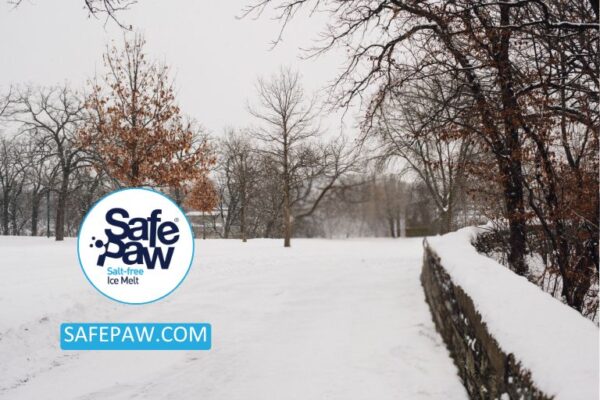 The Great Debate: Salt Vs. Sand For Ice And Where Safe Paw Fits In.