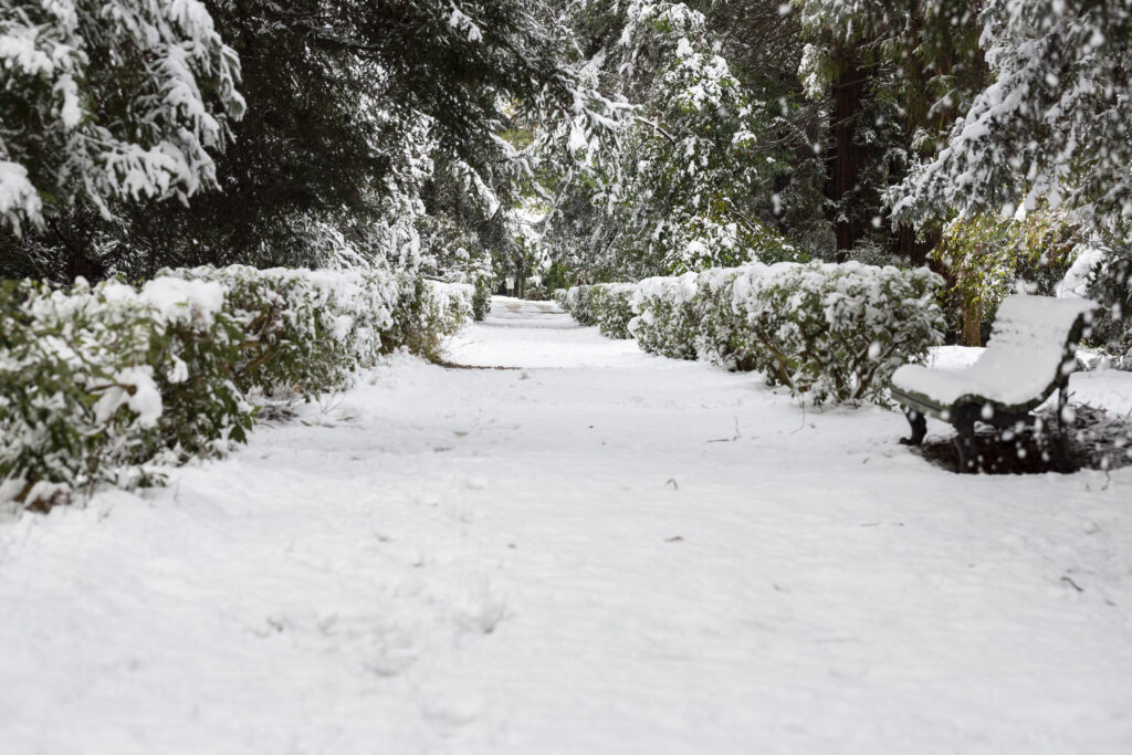 Denver's Rocky Mountain: How Altitude Affects Snowfall and Ice Formation