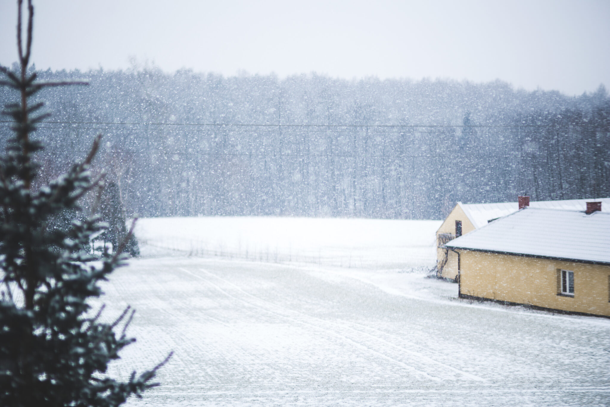 How Much Snow Tomorrow In Your Region?