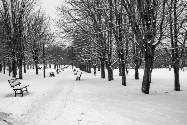 January 9 Snowstorm Forecast Heavy Snowfall Across USA