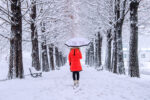 Where Did Snow Bunny Come From? Embracing the Snowbunny Lifestyle