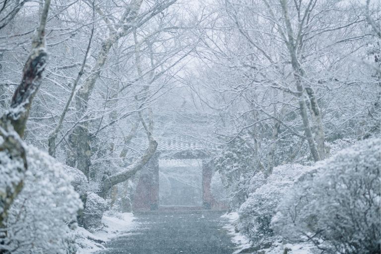 Anticipated Snowfall and Weather Conditions Across the United States in ...