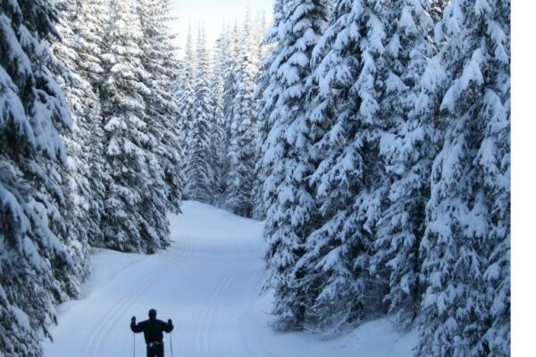 Decoding "Snow Bunny Heaven Co To": Origins and Cultural Significance