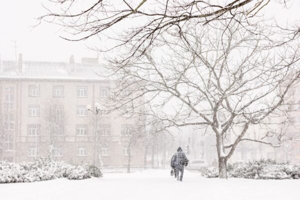 Snowfall, Rainfall, and Mixed Weather Patterns Forecasted Across U.S ...